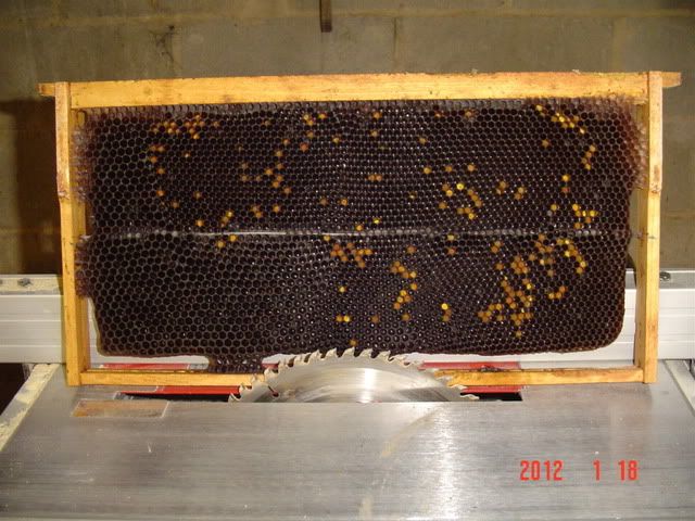 open frames vs foundation frames | Beesource Beekeeping Forums