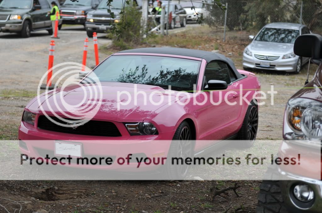 When can you call a mustang 'cute' | Ford Mustang Forum