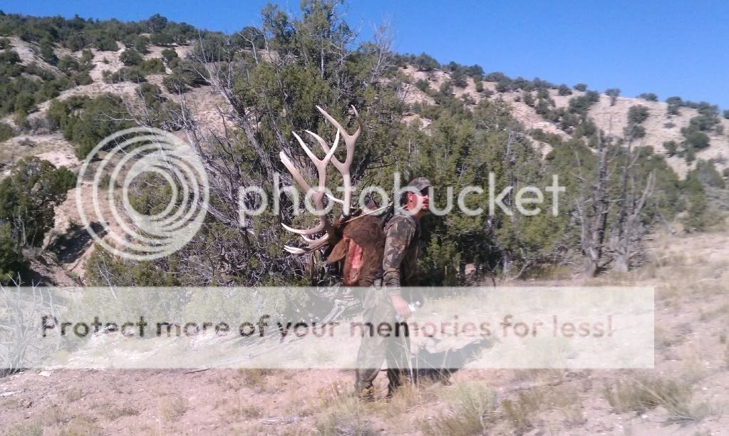 More pics from Colorado Unit 2 hunt | Hunt Talk